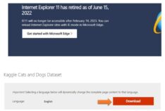 【Python】GoogleColabで犬猫の画像判定AIを作る♪