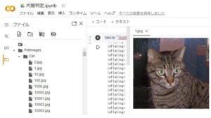 【Python】GoogleColabで犬猫の画像判定AIを作る♪