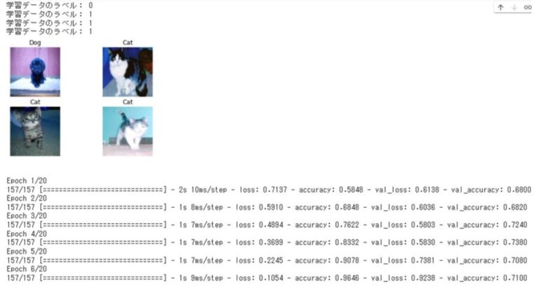 【Python】GoogleColabで犬猫の画像判定AIを作る♪