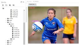 【Python】GoogleColabでYOLOの物体検出AIを実装